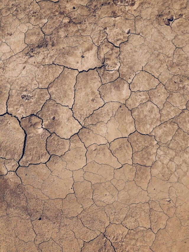 What Is Draught, Causes & Effects - Agriculture Review