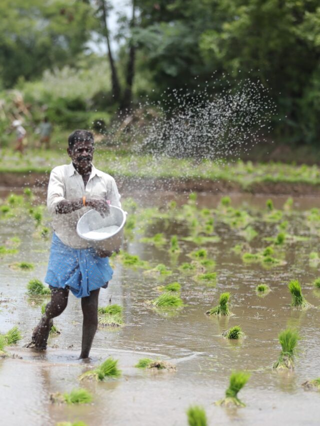 Celebrate Maharashtra Krishi Day To Honour Farmers - Agriculture Review