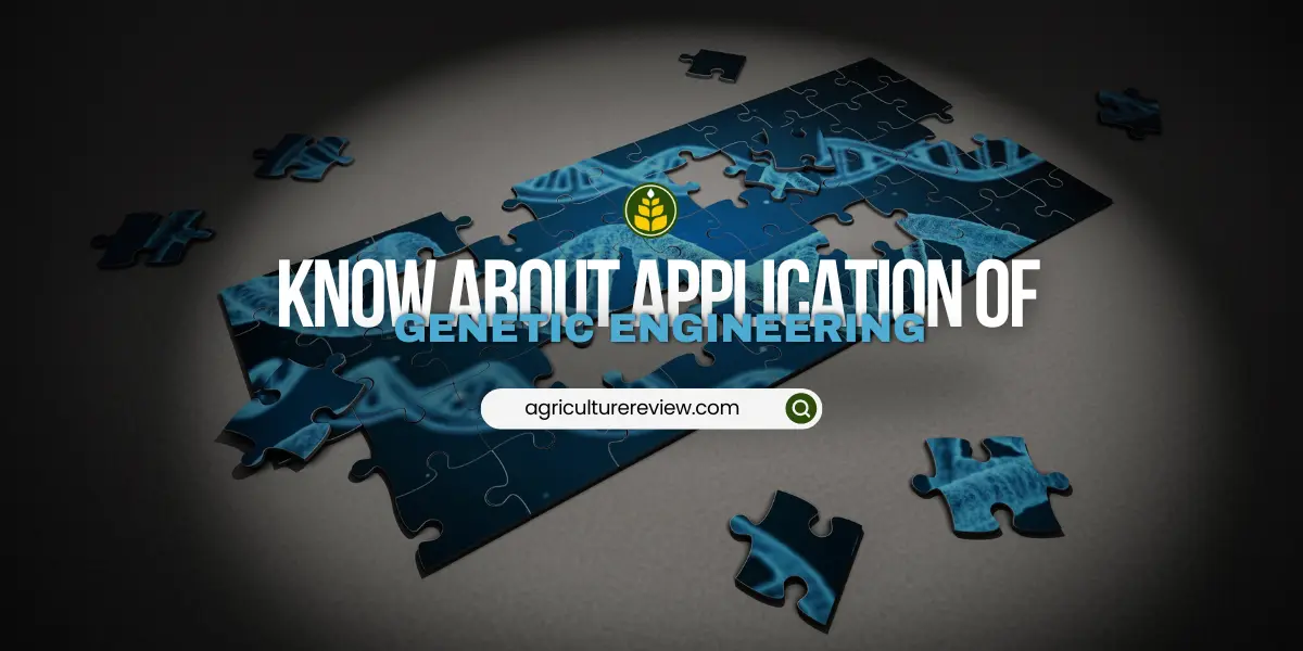 Which is an application of genetic engineering? - Agriculture Review